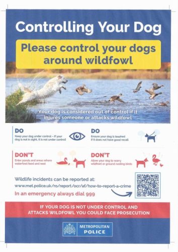 The Swan Sanctuary PLEASE control your dog - warning contains images ...